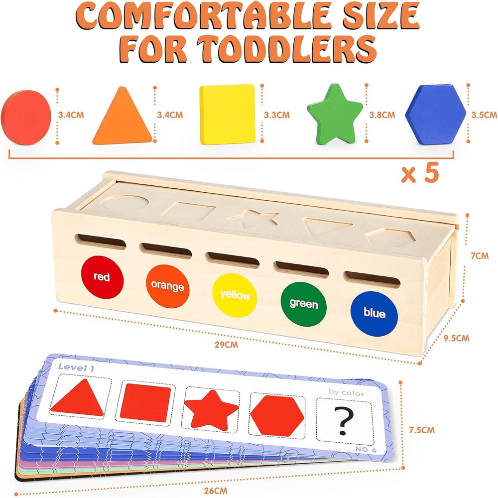 Toy. Wooden Sorting Box