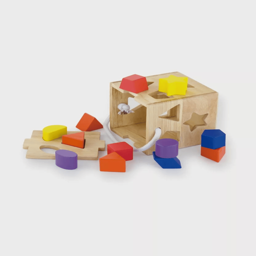 Toy. Shape sorting game