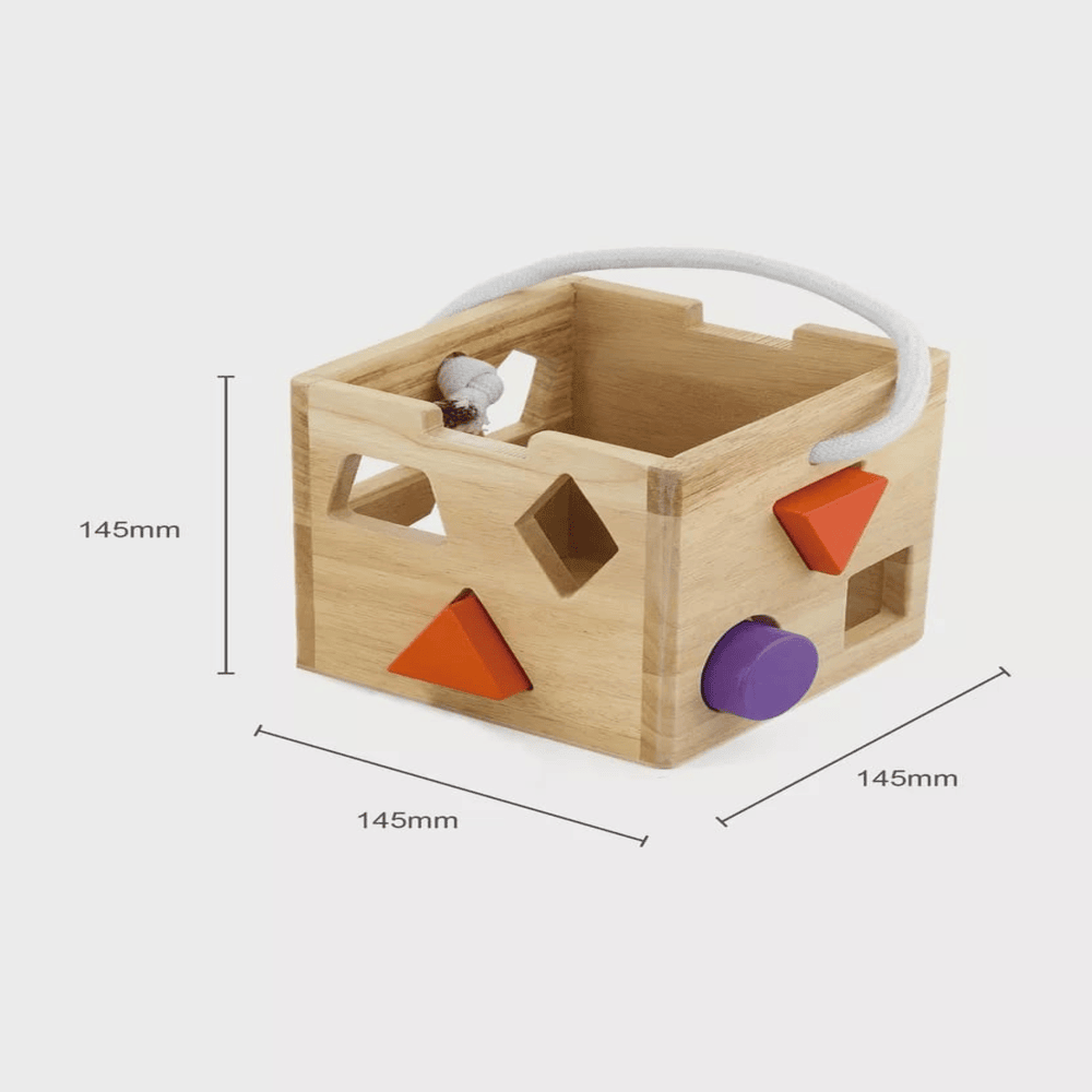 Toy. Shape sorting game