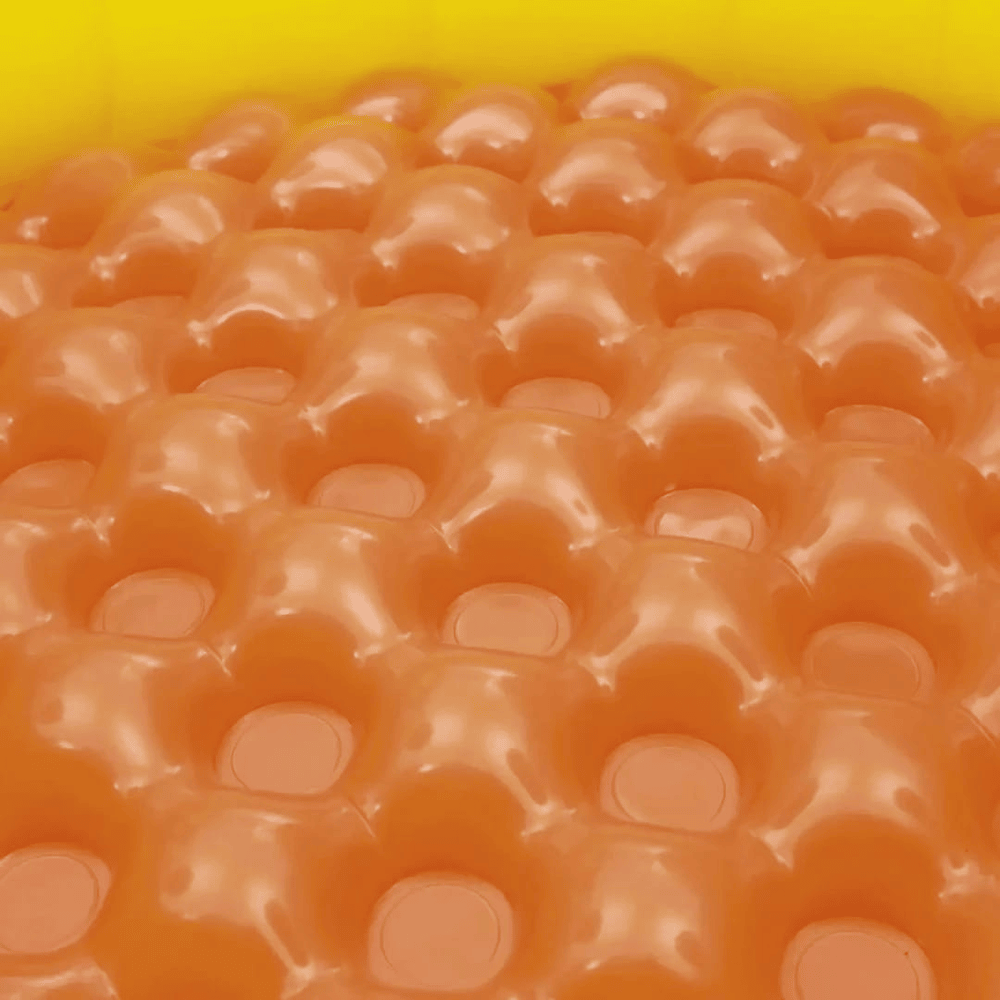 Toy. Bestway Lion Ball Pit