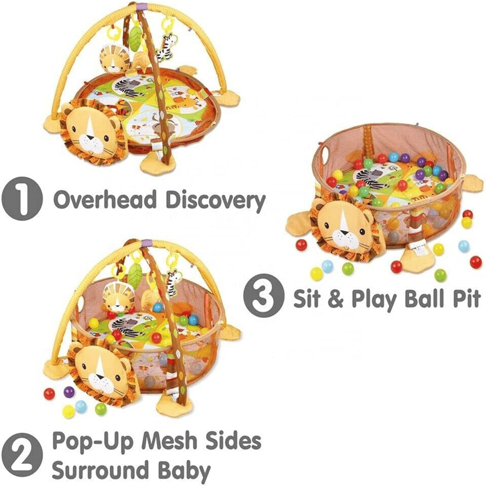 Toy. Activity Gym And Ball Pit